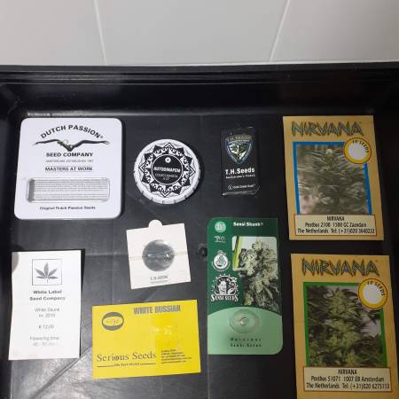 Straining for strains sake grow journal by Medical_Cannabis_Australia ...