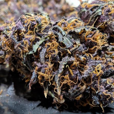 LSD-25 Auto by FastBuds grow journal by nonick123 - GrowDiaries