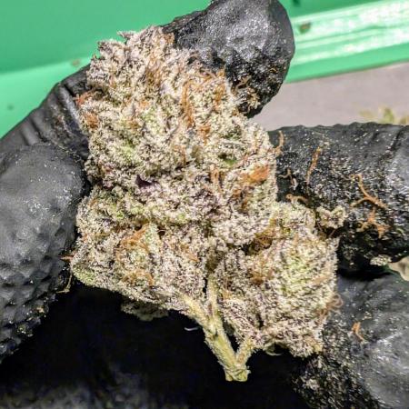 BeLeaf - Truffaloha #1, Tricho Jordan #5, Koosh The Magic Dragon #4 ...