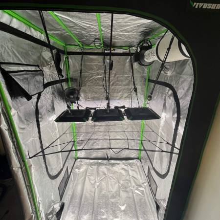 ILGM Runtz grow journal by MacGyver420 - GrowDiaries