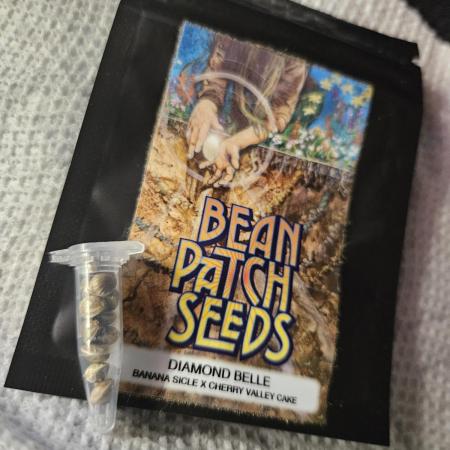 Bean Patch Diamond grow journal by ArtisticGrown - GrowDiaries