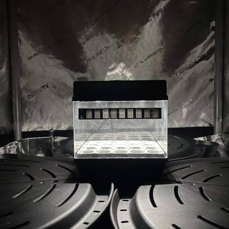 RQS F1 Epsilon - #1 grow journal by cannathlete - GrowDiaries