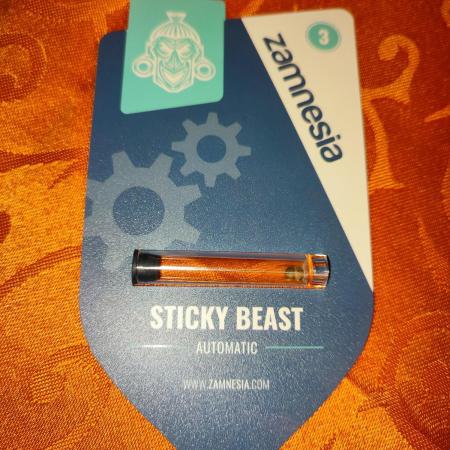 Zamnesia Seeds Sticky Beast Automatic grow journal by Gruschel_Muschel ...