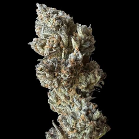 Auto Moon Rock grow journal by THcHunteR23 - GrowDiaries