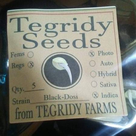 AlteredState (Black Dosi) grow journal by AlteredState