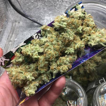 Semyanich Permanent Marker grow journal by jwh_hero - GrowDiaries