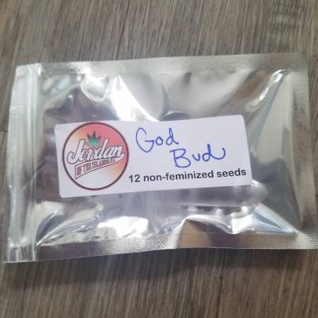 BC God Bud, God Bud JOTI grow journal by disco - GrowDiaries