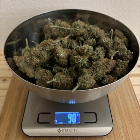 My very first grow grow journal by Former_Banana_Farmer_Current_Flower ...