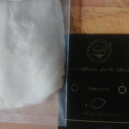 Limon Blanco V3, Aladdin Kush grow journal by J_b4n - GrowDiaries