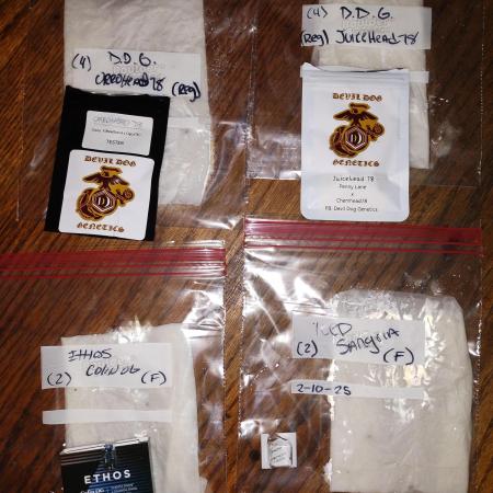 Juicehead78 , Oreohead78 , Colin OG RBX, Iced Sangria grow journal by Willies_Organic_Gro ...