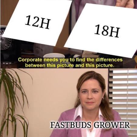 Fast Buds meme grow journal by Zauberkraut - GrowDiaries