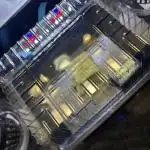 Royal Queen Seeds Royal Jack Automatic grow journal by everythinggrows ...