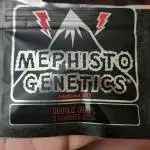 Mephisto Genetics Double Grape grow journal by MackBaggins - GrowDiaries