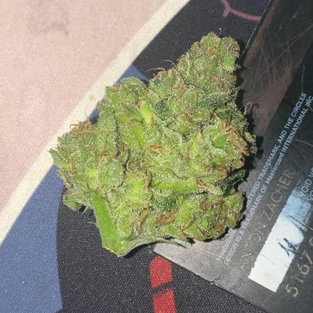 A Test for the upcoming(maybe) Strain grow journal by Le...