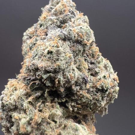 Alien Mint x Permanent Marker cut #1 grow journal by MadeInGermany ...