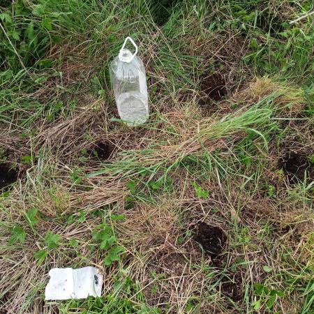 Fastberry Auto, Juicy Zkittlez Auto grow journal by TylerBud - GrowDiaries