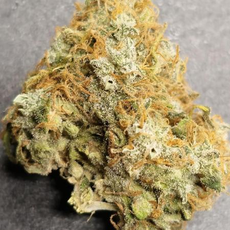 Crystal White Kush grow journal by cheech87 - GrowDiaries