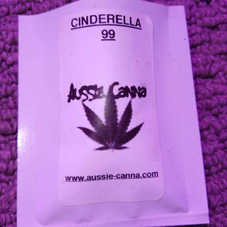 Custom Breeder & Strain Cinderella 99 grow journal by Earthling ...