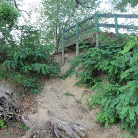 Custom Breeder & Strain Dark devil x Northern Lights Auto grow journal ...