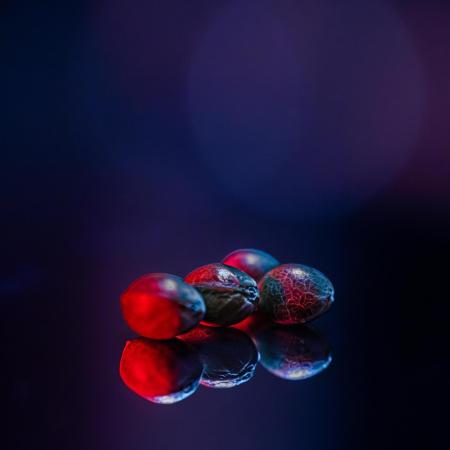 Spliff Seeds CBD Medi Kush grow journal by Cannabeast40 - GrowDiaries