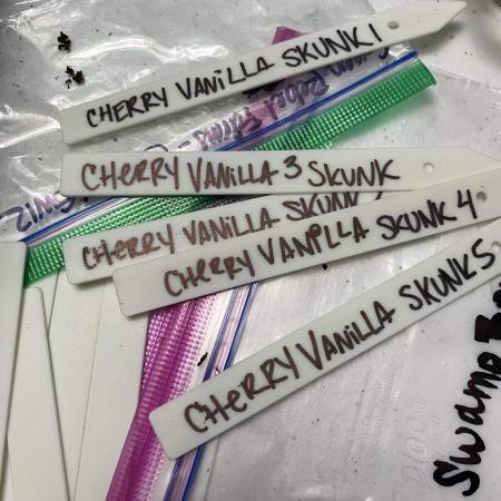 Galactic Punch, Black Domina x Triangle Kush x Northern lights haze ...