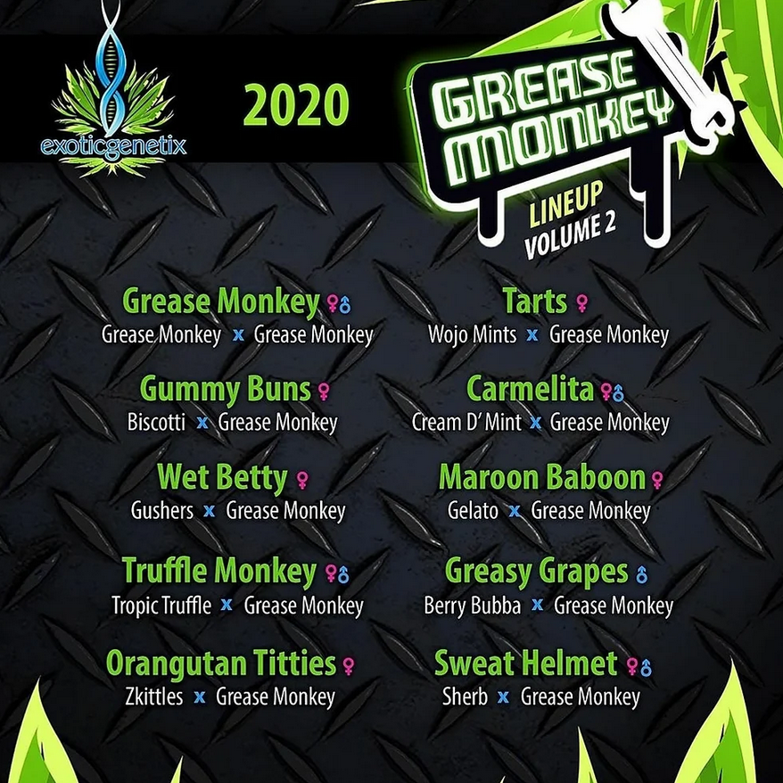 Tarts Strain Info / Tarts Weed By Exotic Genetix - GrowDiaries