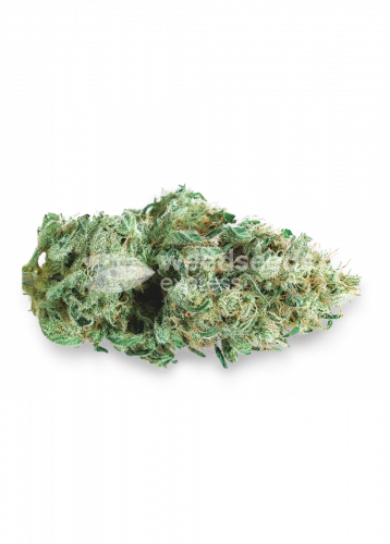 Super Skunk autoflower seeds Strain Info / Super Skunk autoflower seeds ...