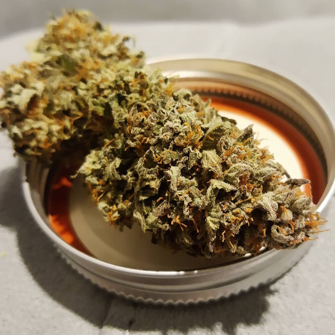 God’s Pink Strain Info / God’s Pink Weed By Jordan Of The Islands ...