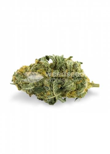 Tangie feminized seeds Strain Info / Tangie feminized seeds Weed By ...