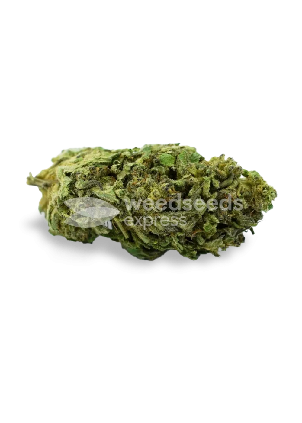 Platinum Cookies feminized seeds Strain Info / Platinum Cookies ...
