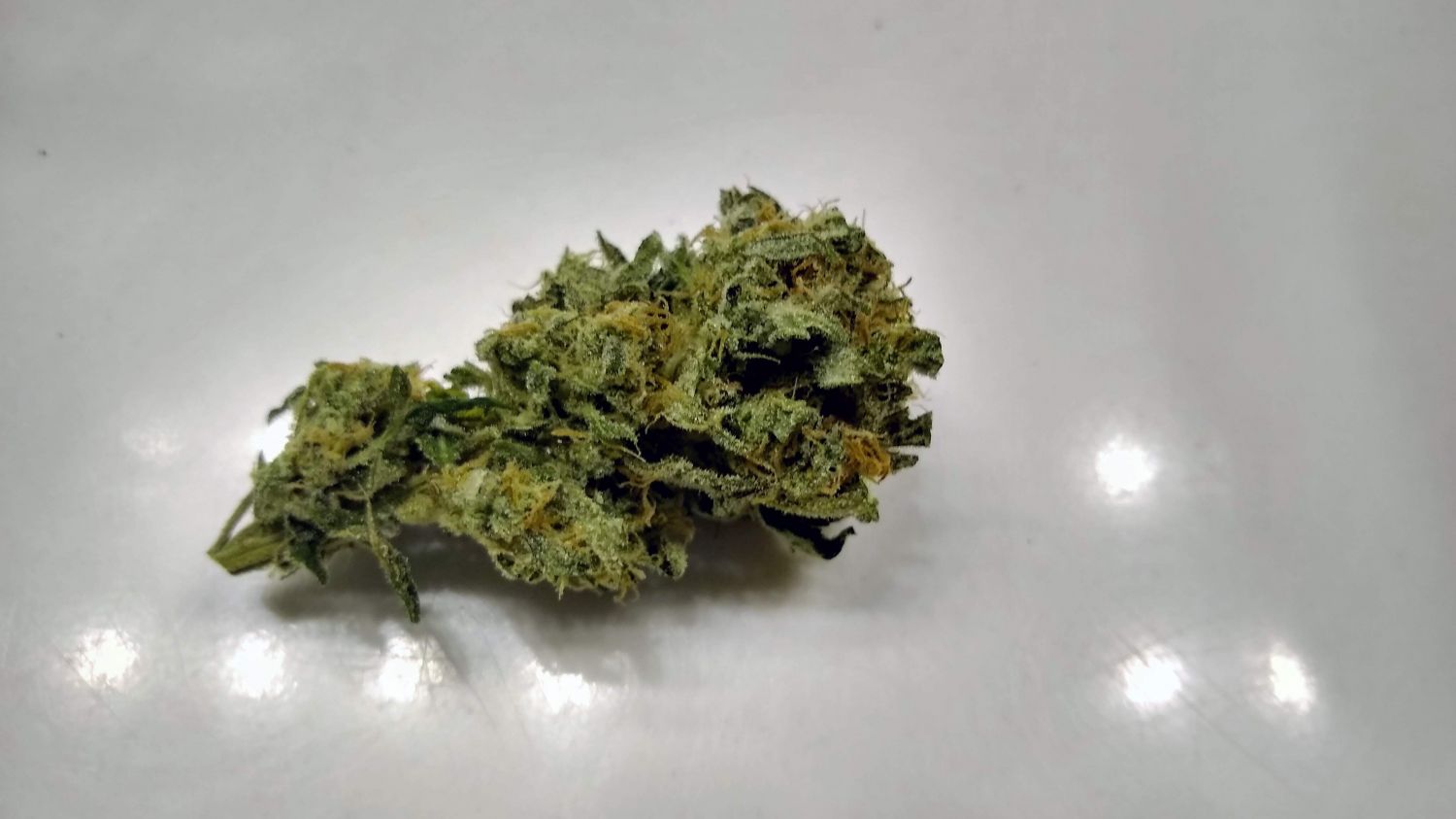 Hazelnut Cream Strain Info / Hazelnut Cream Weed By Exotic Genetix ...