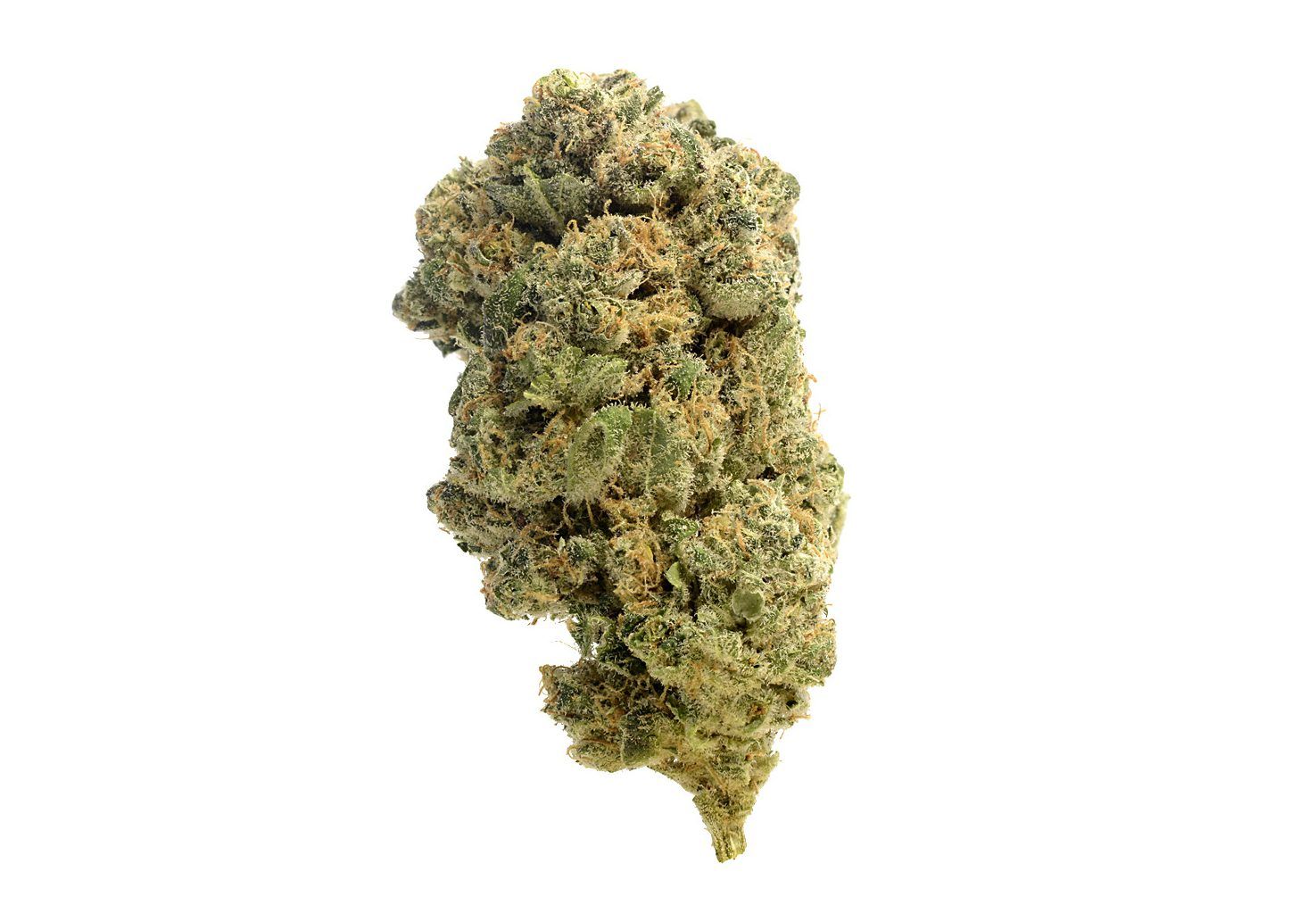 Quicksilver Strain Info / Quicksilver Weed By Amsterdam Genetics ...