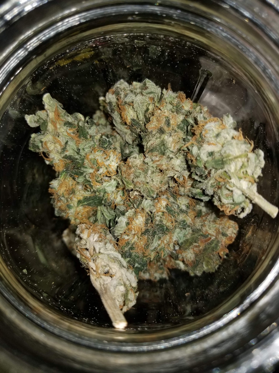 Haze Mix Strain Info / Haze Mix Weed By Seedsman - GrowDiaries