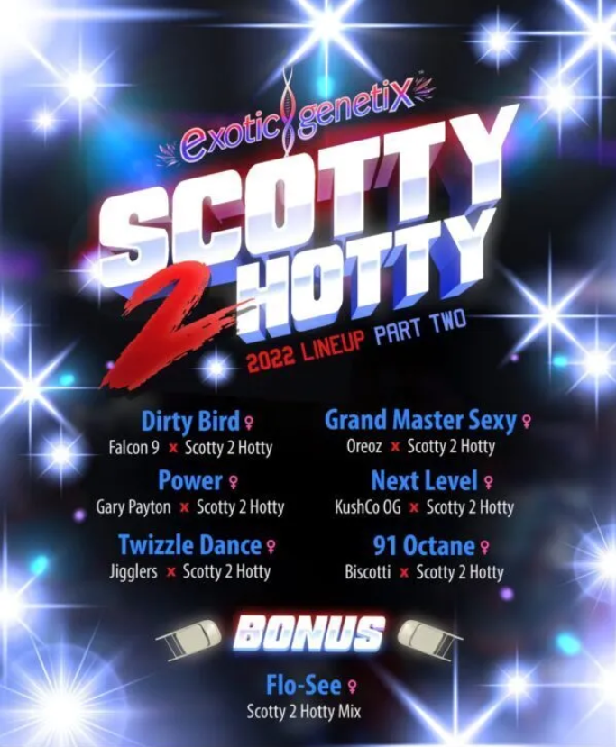 Power Strain Info / Power Weed By Exotic Genetix - GrowDiaries