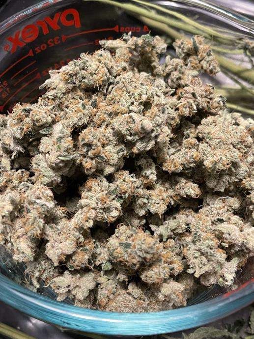 Space Juice Strain Info / Space Juice Weed By Solfire Gardens - GrowDiaries