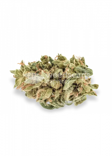 Hellfire OG feminized seeds Strain Info / Hellfire OG feminized seeds ...