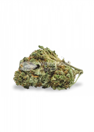 Pink Runtz feminized seeds Strain Info / Pink Runtz feminized seeds ...