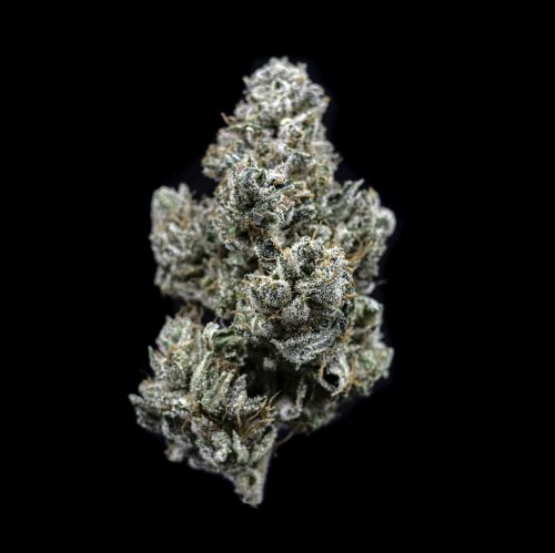 Permanent Marker Strain Info / Permanent Marker Weed By Premium ...