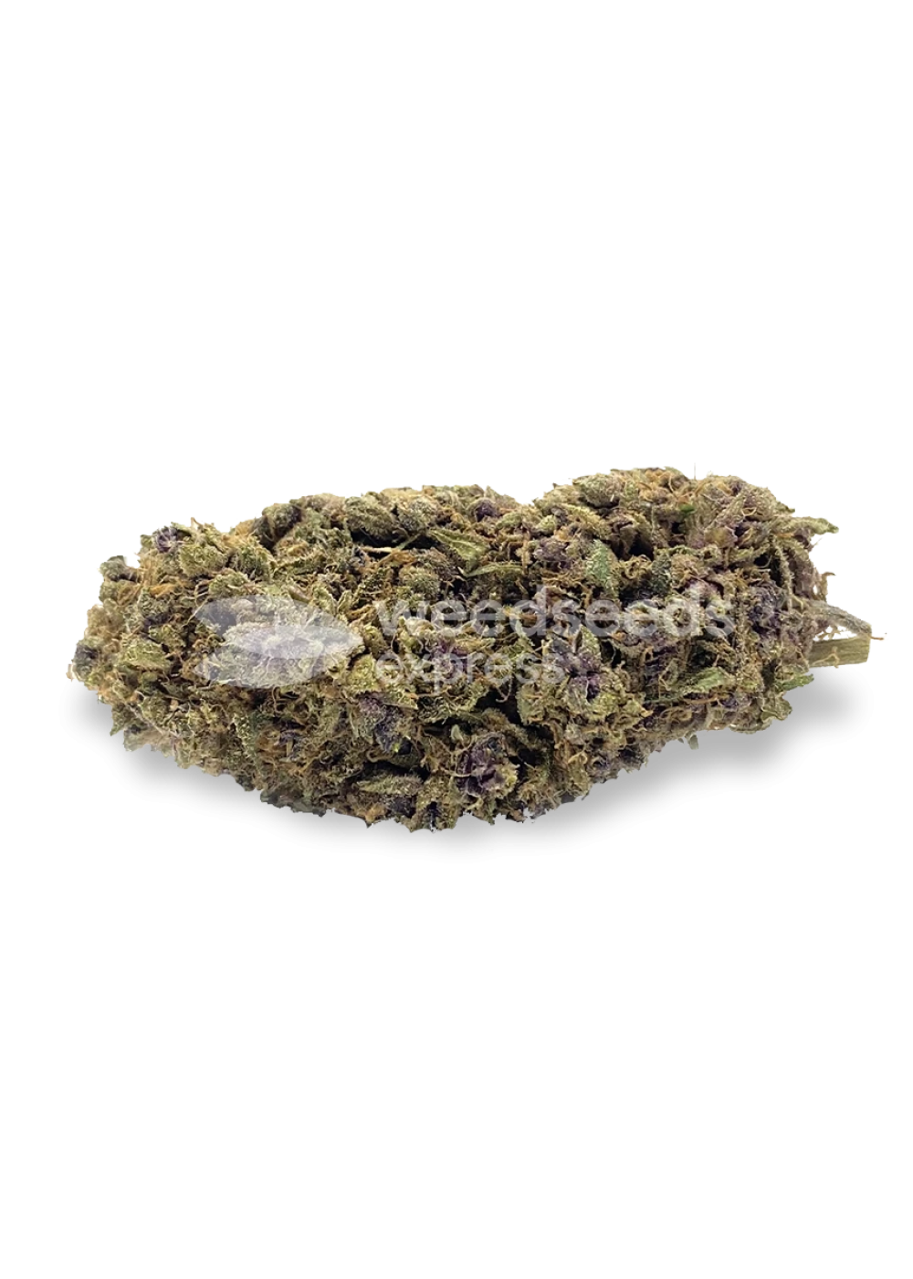 Blackberry Moonrocks autoflower seeds Strain Info / Blackberry ...