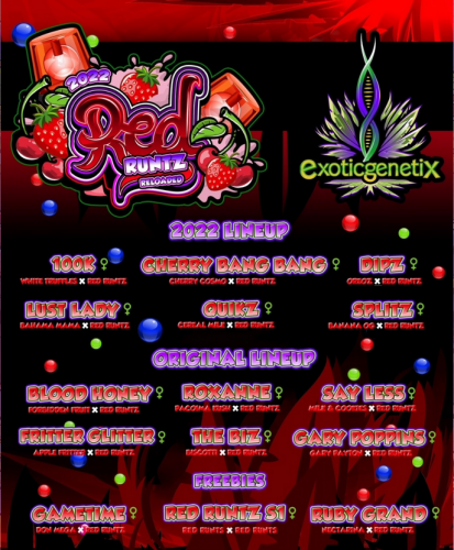 Ruby Grand Strain Info / Ruby Grand Weed By Exotic Genetix - GrowDiaries