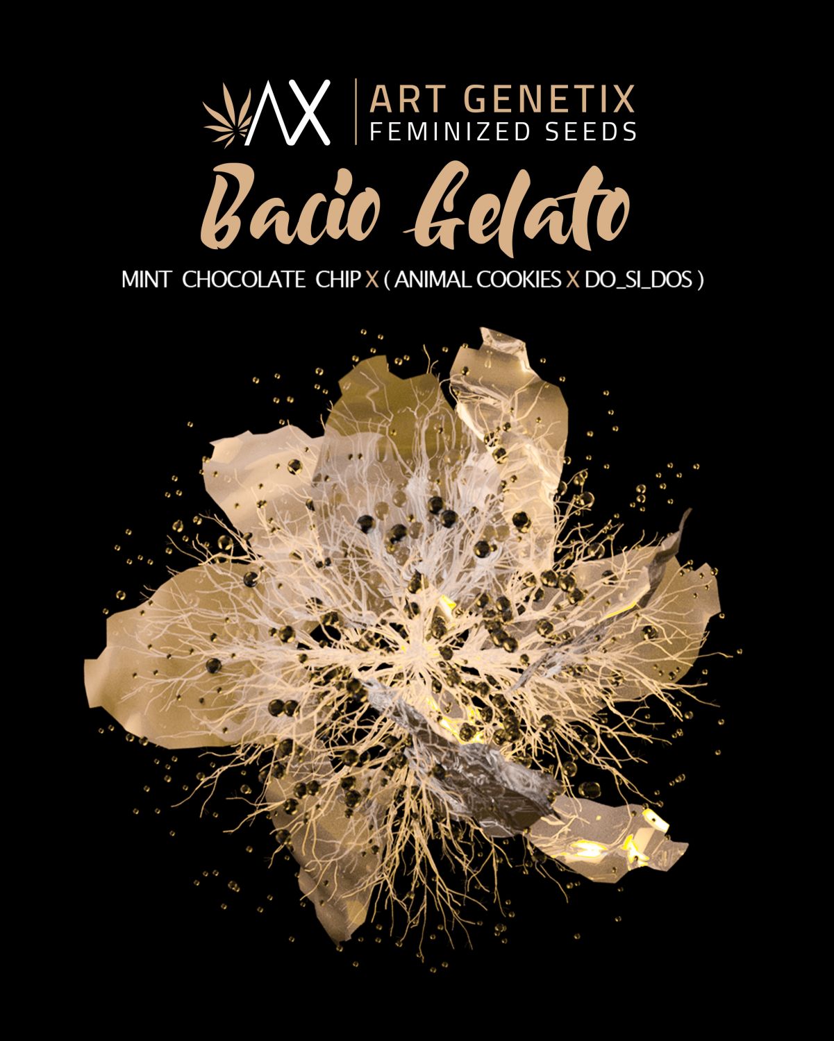 BACIO GELATO Strain Info / BACIO GELATO Weed By Art Genetix - GrowDiaries