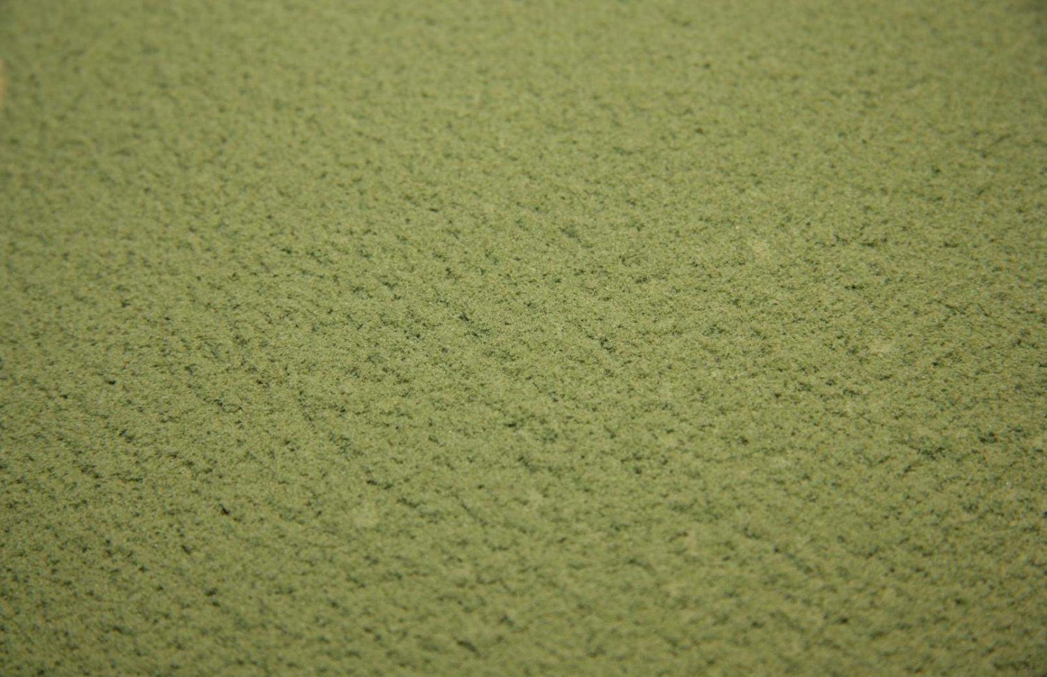 Chronic Strain Info / Chronic Weed By Serious Seeds - GrowDiaries