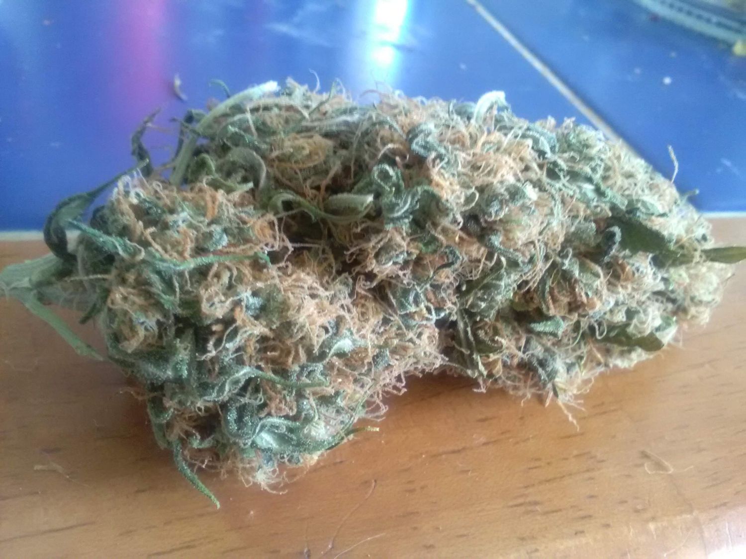 Hawaiian Wave Strain Info / Hawaiian Wave Weed By Ripper Seeds ...