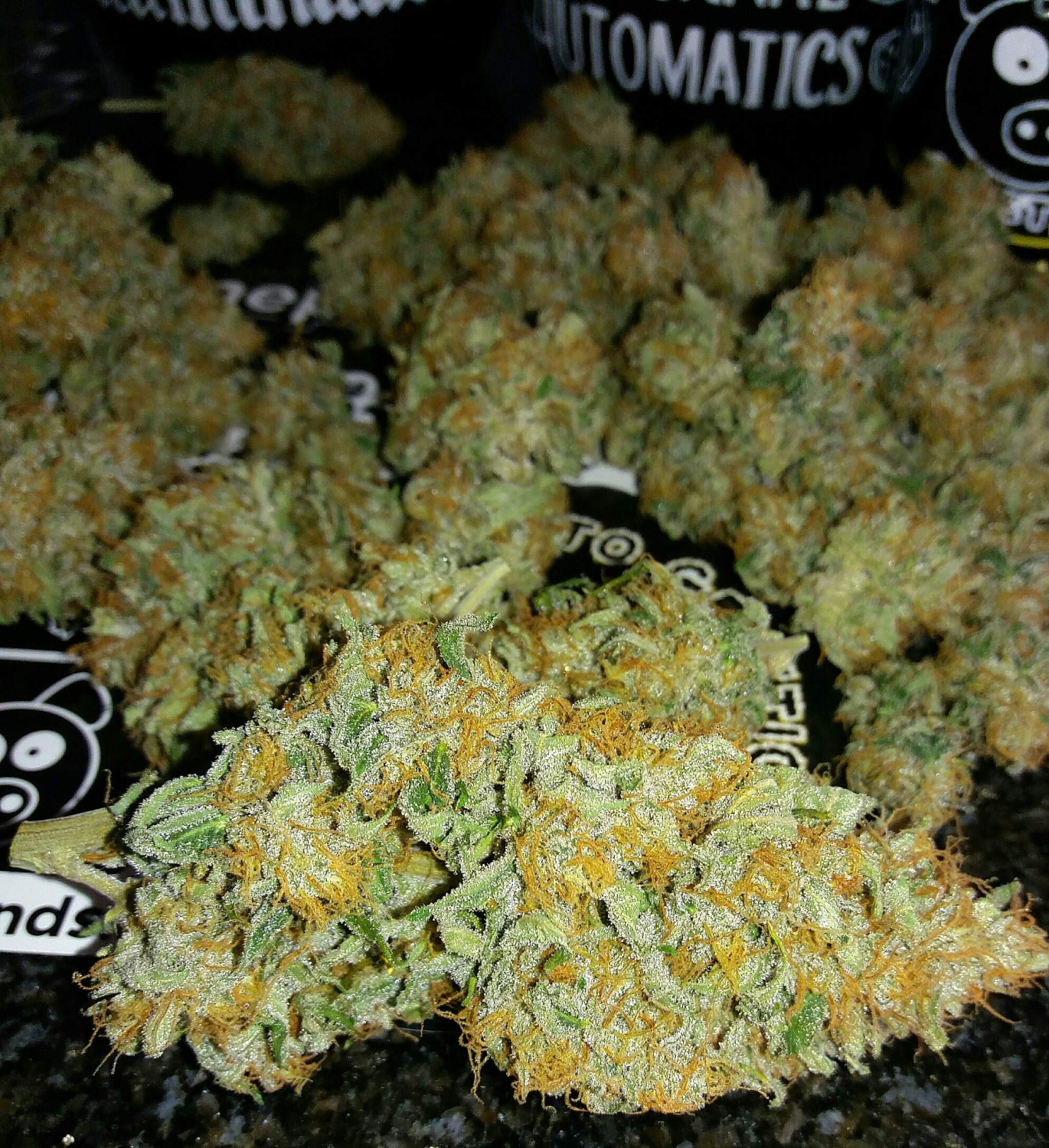 Toofless Alien Strain Info / Toofless Alien Weed By Mephisto Genetics ...