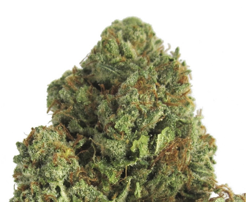 Midnight Mass Strain Info / Midnight Mass Weed By Heavyweight Seeds ...