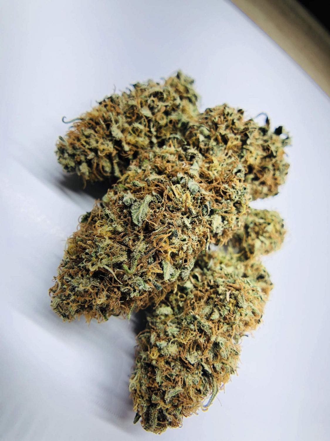 Power Kush Strain Info / Power Kush Weed By Zambeza - GrowDiaries