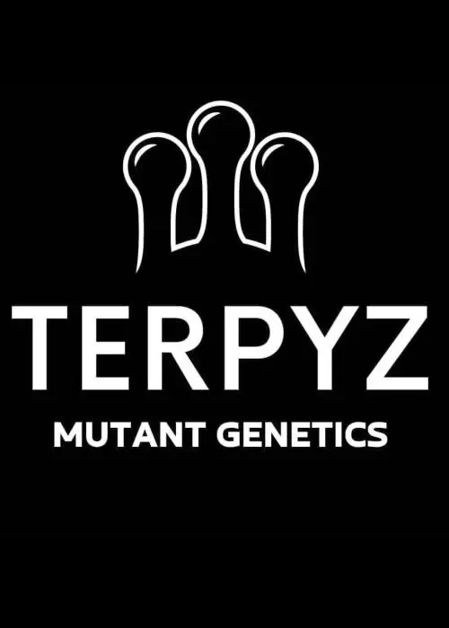 TerpyZ Punch Auto Seeds by TerpyZ Mutant Genetics - GrowDiaries