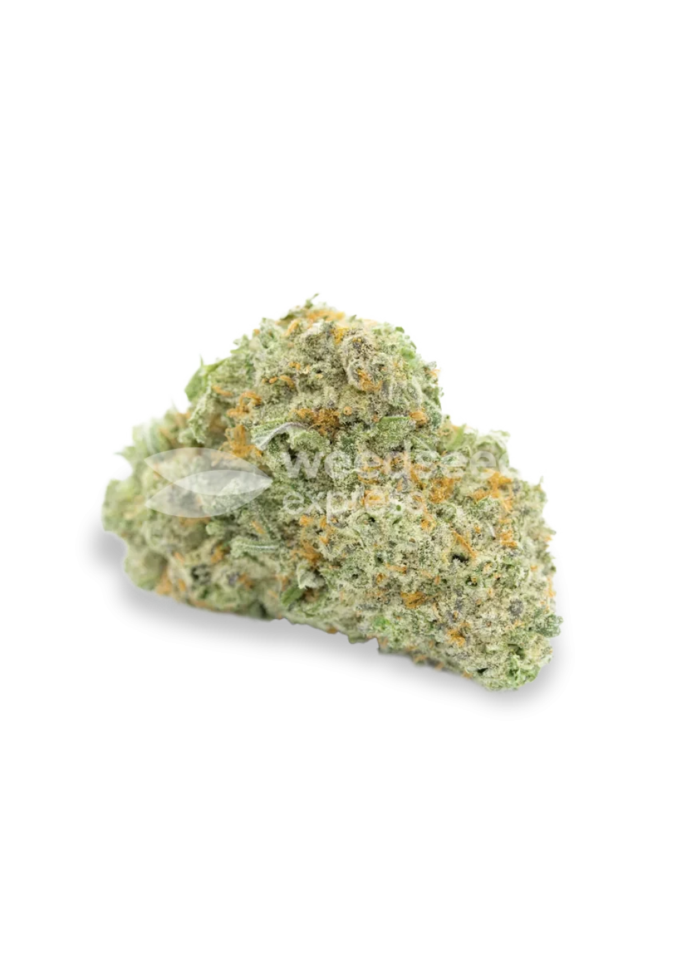 Amnesia Haze autoflower seeds Strain Info / Amnesia Haze autoflower ...