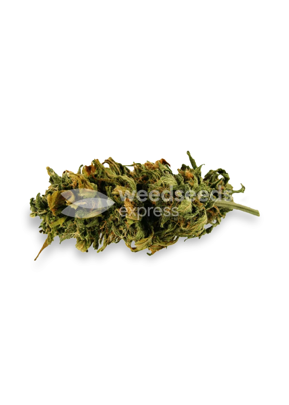 Amnesia Lemon Kush feminized seeds Strain Info / Amnesia Lemon Kush ...