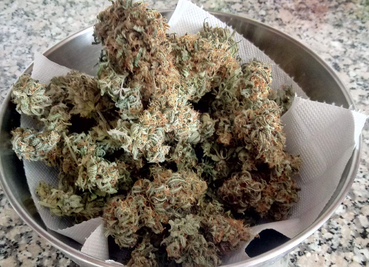 Strawberry Gum Strain Info / Strawberry Gum Weed By Advanced Seeds ...